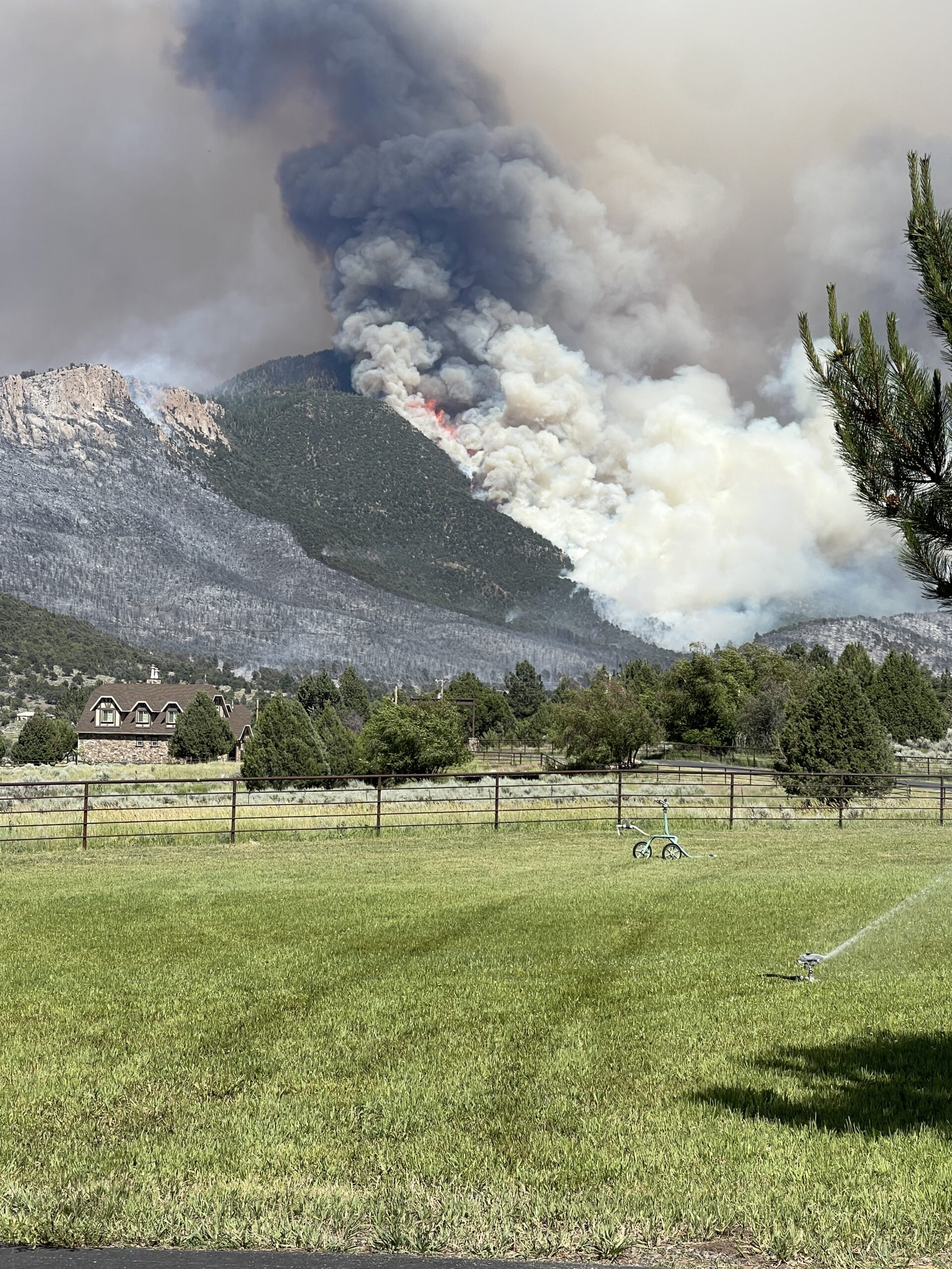 Life After the Forsyth Fire: Pine Valley's Resilience | Blog